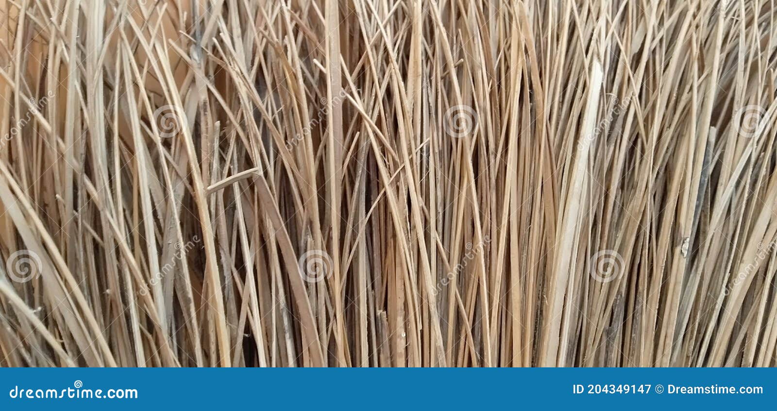 Palm fiber broom stock image. Image of fiber, produce - 204349147