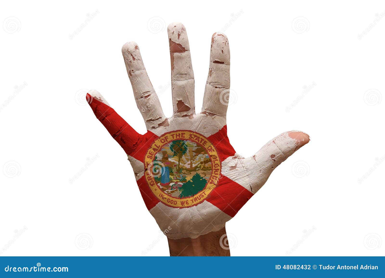 Palm flag florida stock photo. Image of nation, america - 48082432