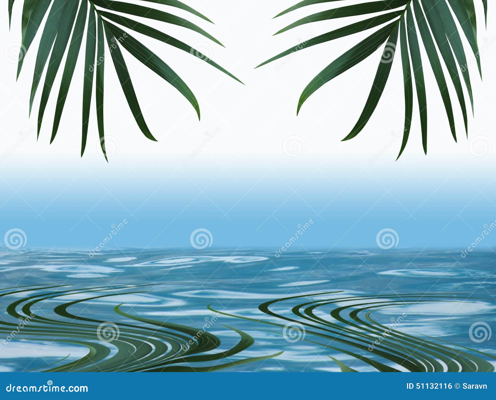 Palm Frond Leaf with Blue Water and Reflection with Copy Space Stock ...