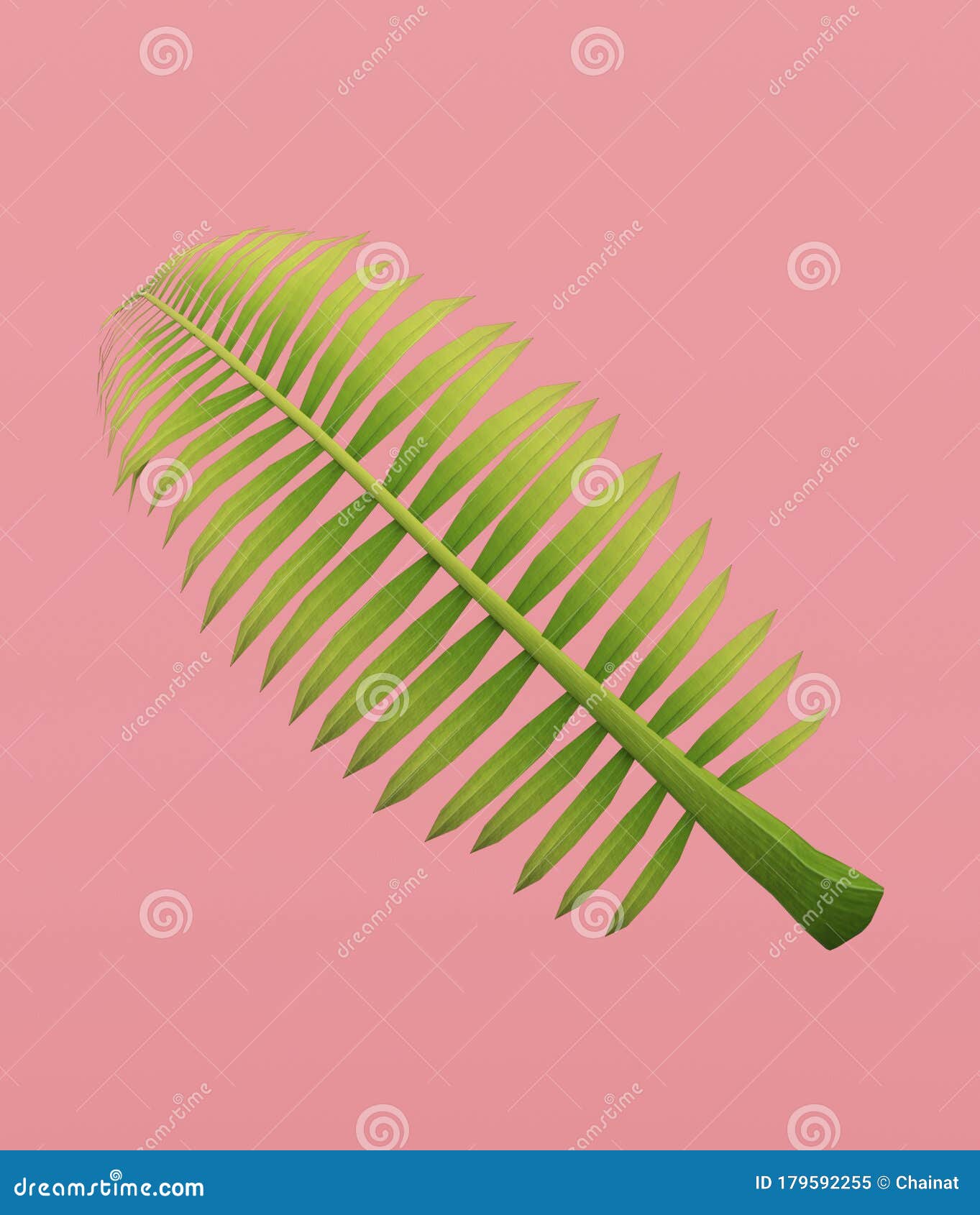 Palm Frond On Pastel Color Background Royalty-Free Stock Photo ...