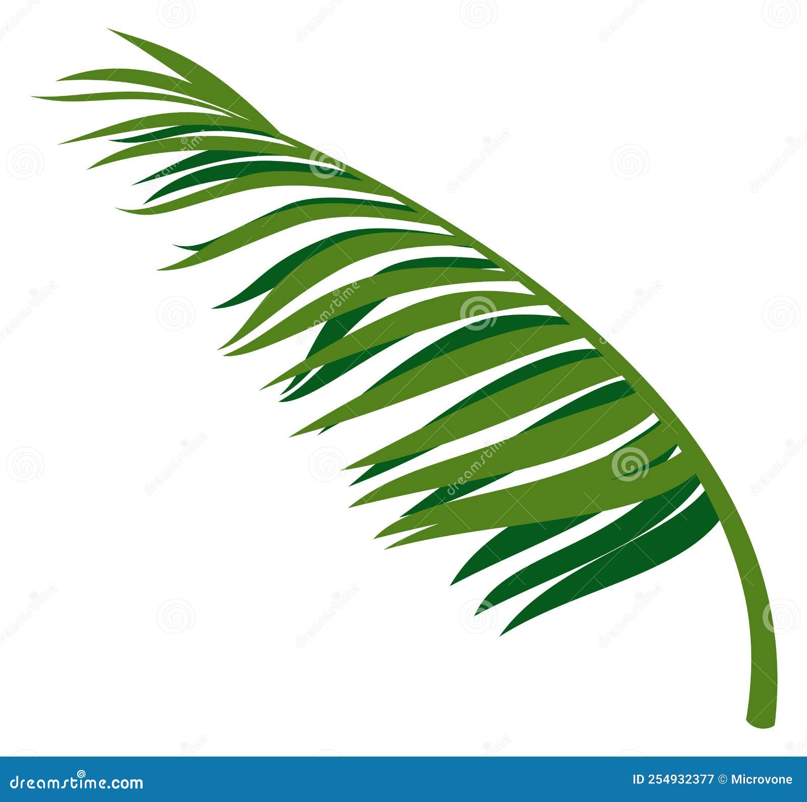 Palm Frond. Realistic Exotic Beach Tree Branch Stock Vector ...