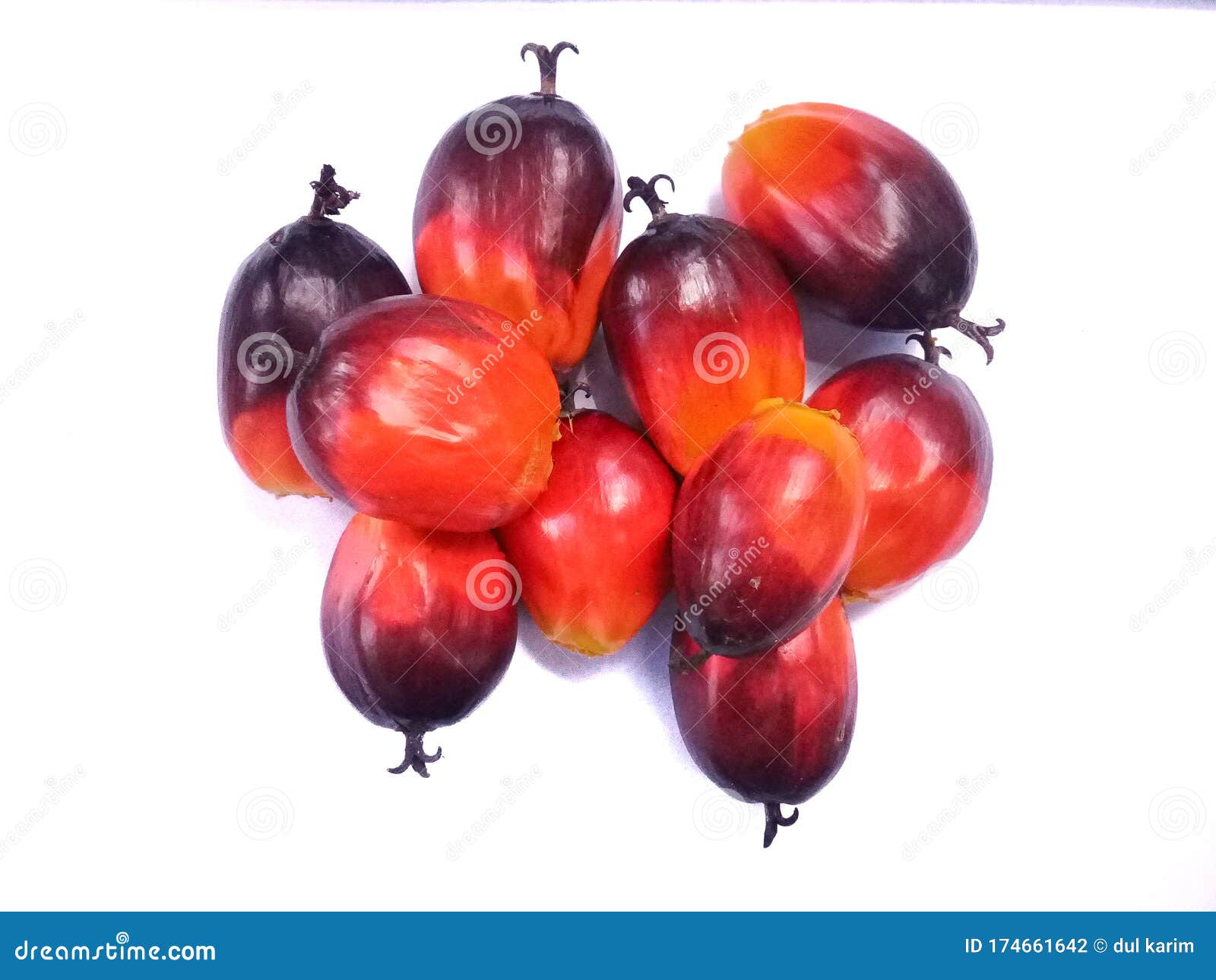 Palm Fruit Seeds .palm Kernel Oil is Processed into Palm Oil Again ...
