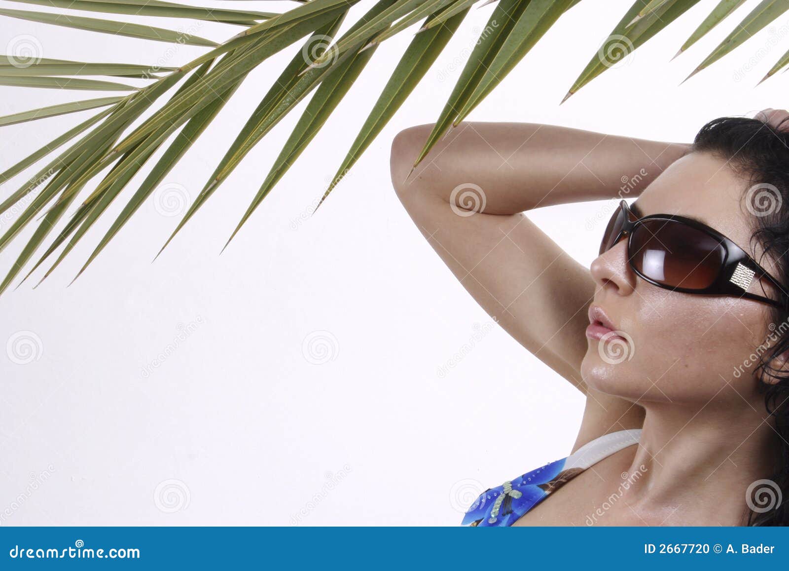 Palm Girl 1 stock photo. Image of woman, palm, bikini - 2667720