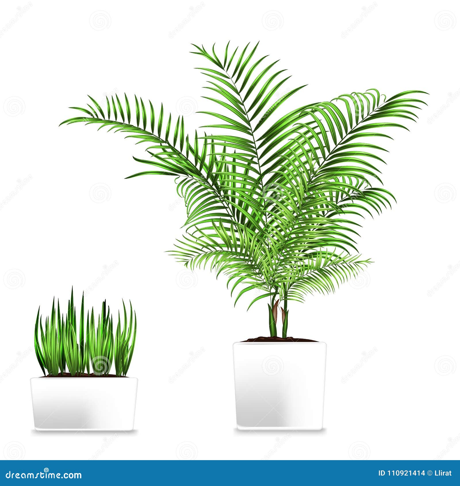 Palm Potted Stock Illustrations – 5,646 Palm Potted Stock Illustrations ...