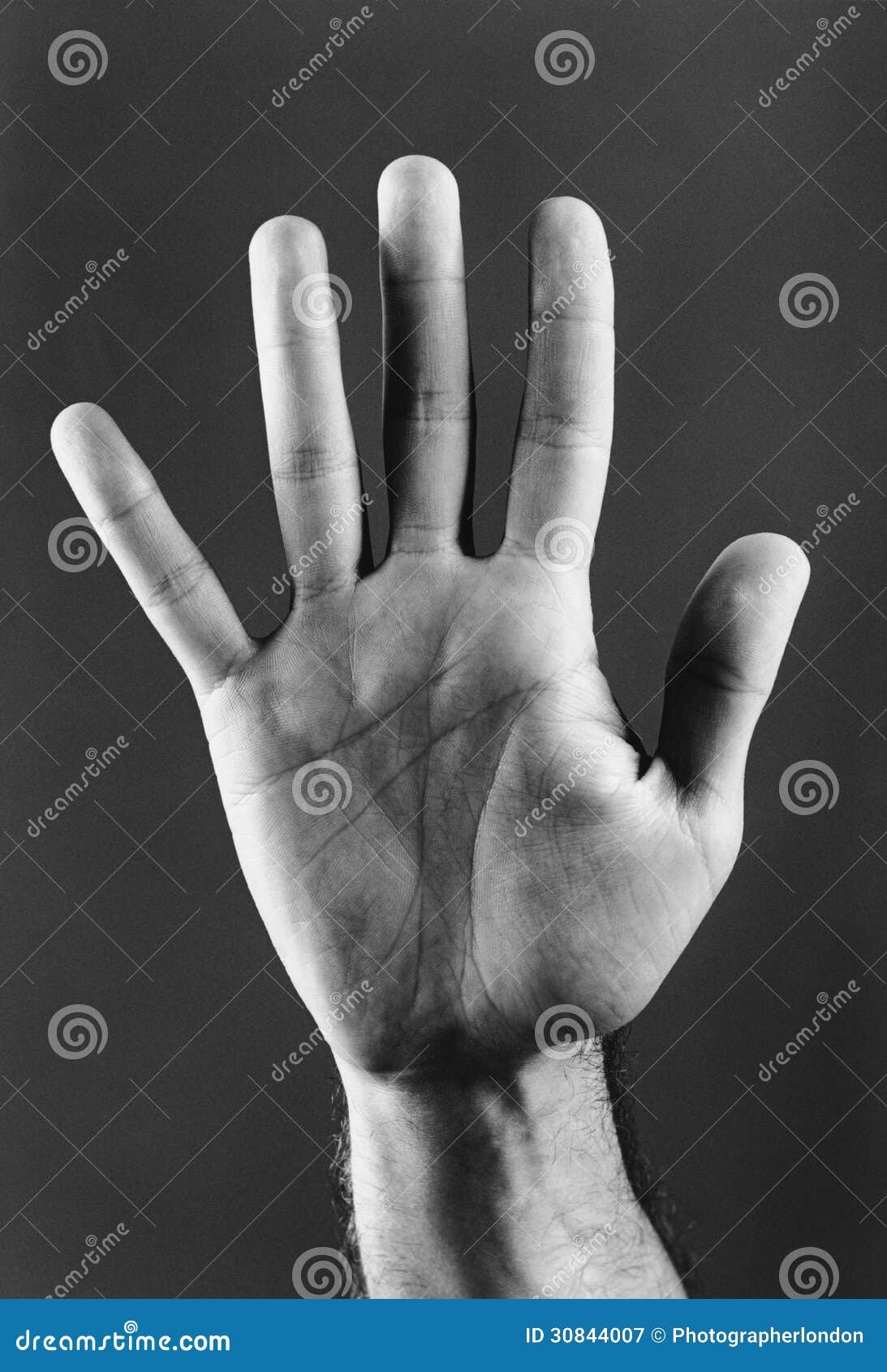 Palm of Hand (b&w) (close-up) Stock Image - Image of obstacle, palm ...