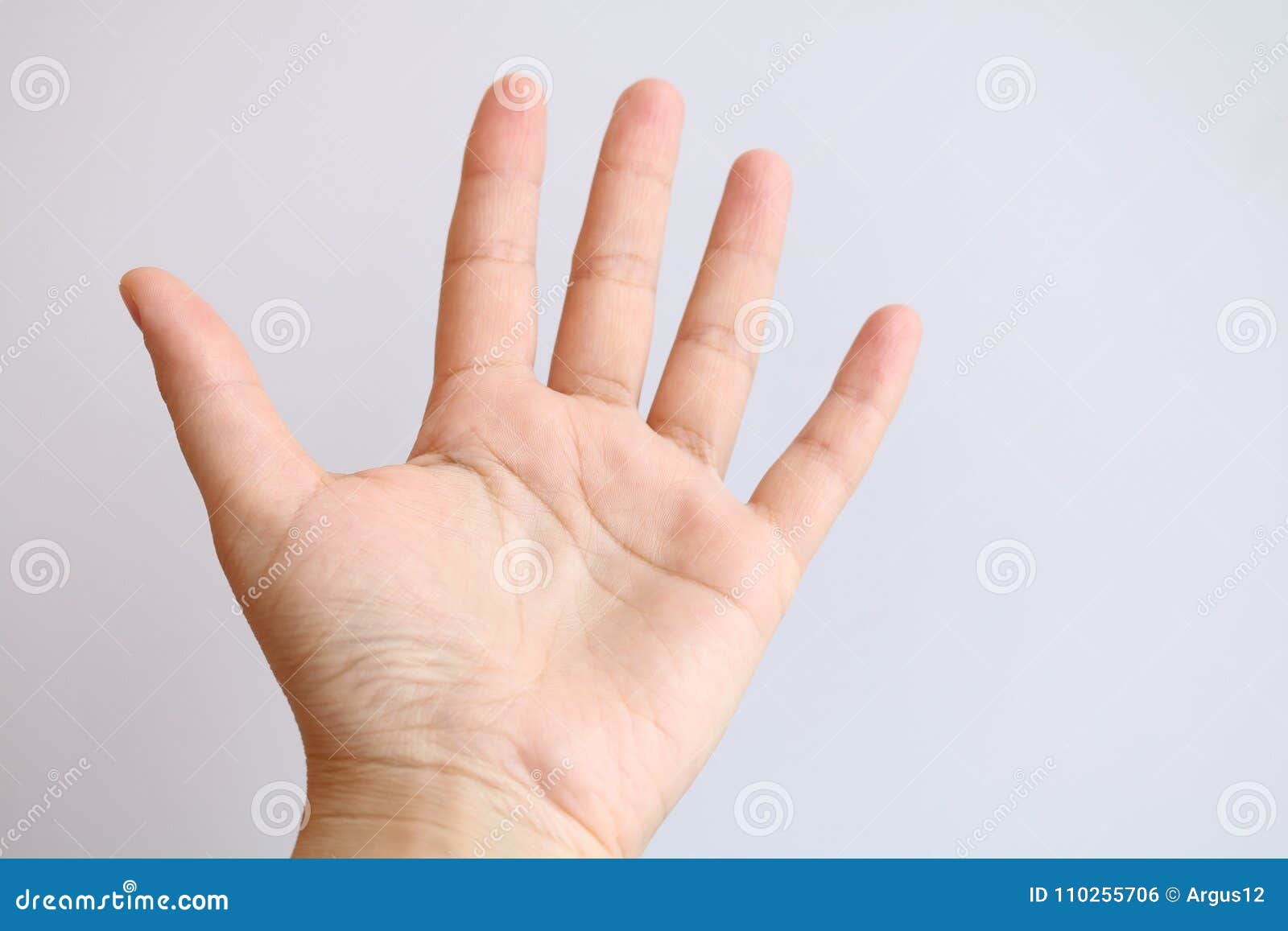 The palm of the hand stock photo. Image of bones, pastern - 110255706