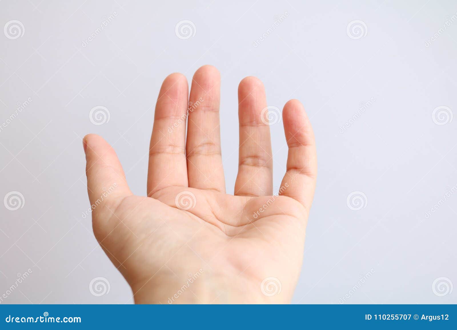 The palm of the hand stock image. Image of limb, give - 110255707