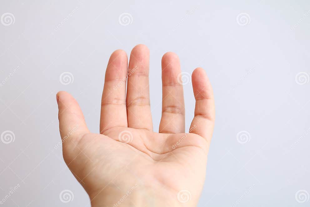 The palm of the hand stock image. Image of limb, give - 110255707