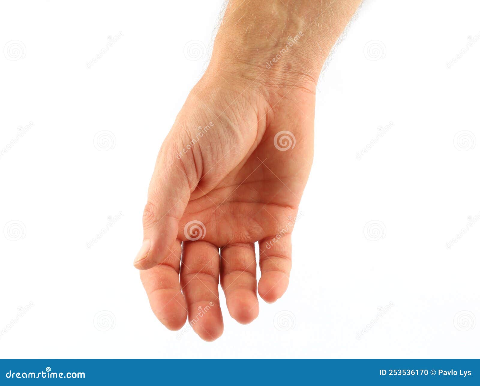 Palm of the Hand Relaxed Male Isolate Stock Photo - Image of give ...