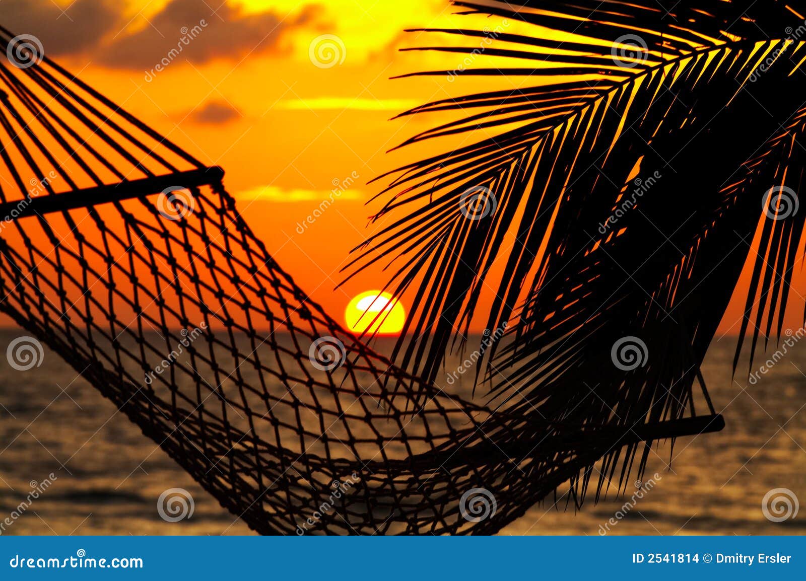 Palm, Hangmat En Zonsondergang Stock Foto - Image of eenzaam, toevlucht ...