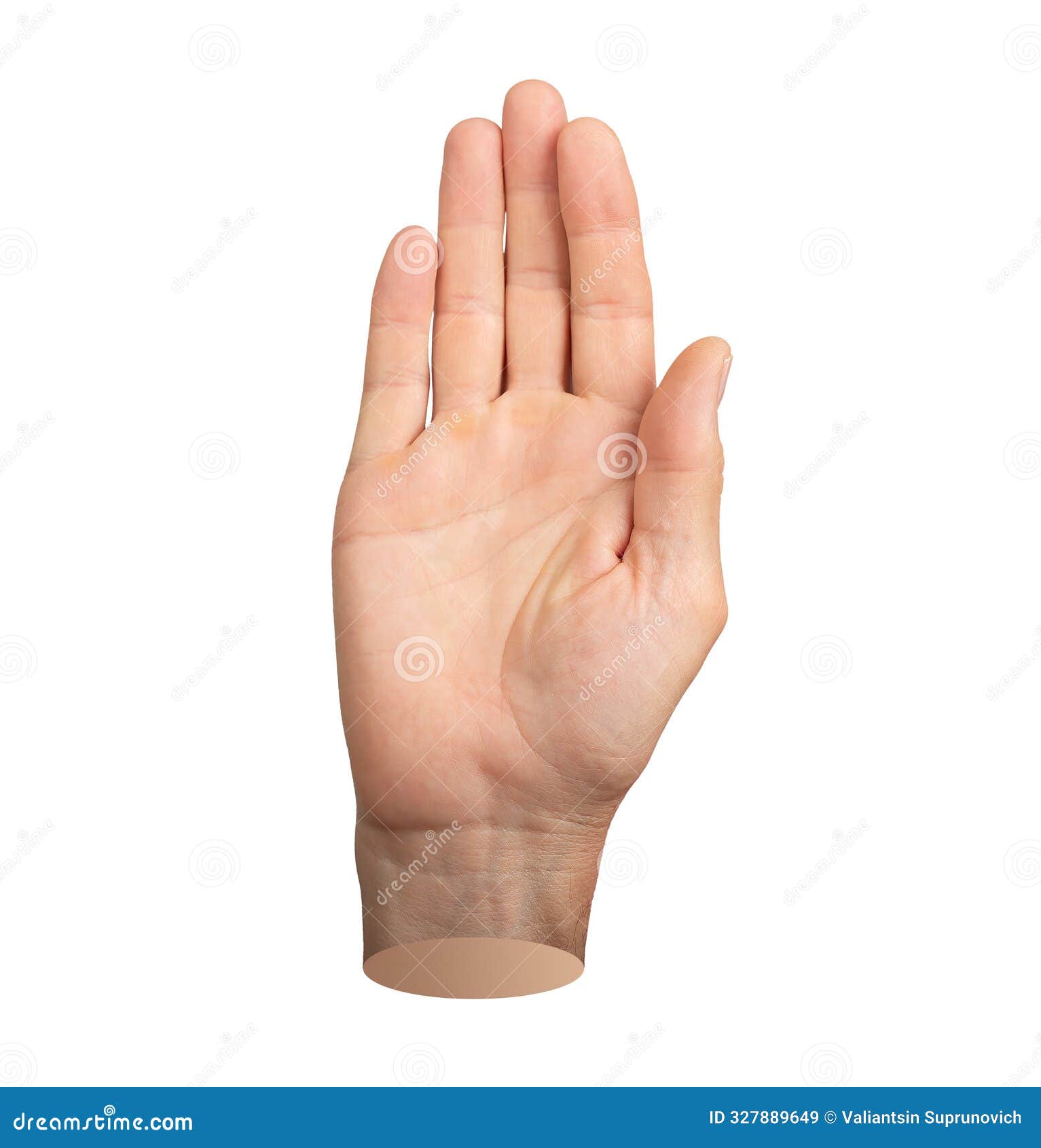 Palm Hi, Hand Gesture, Sign Isolated on White Background. Stock Image ...