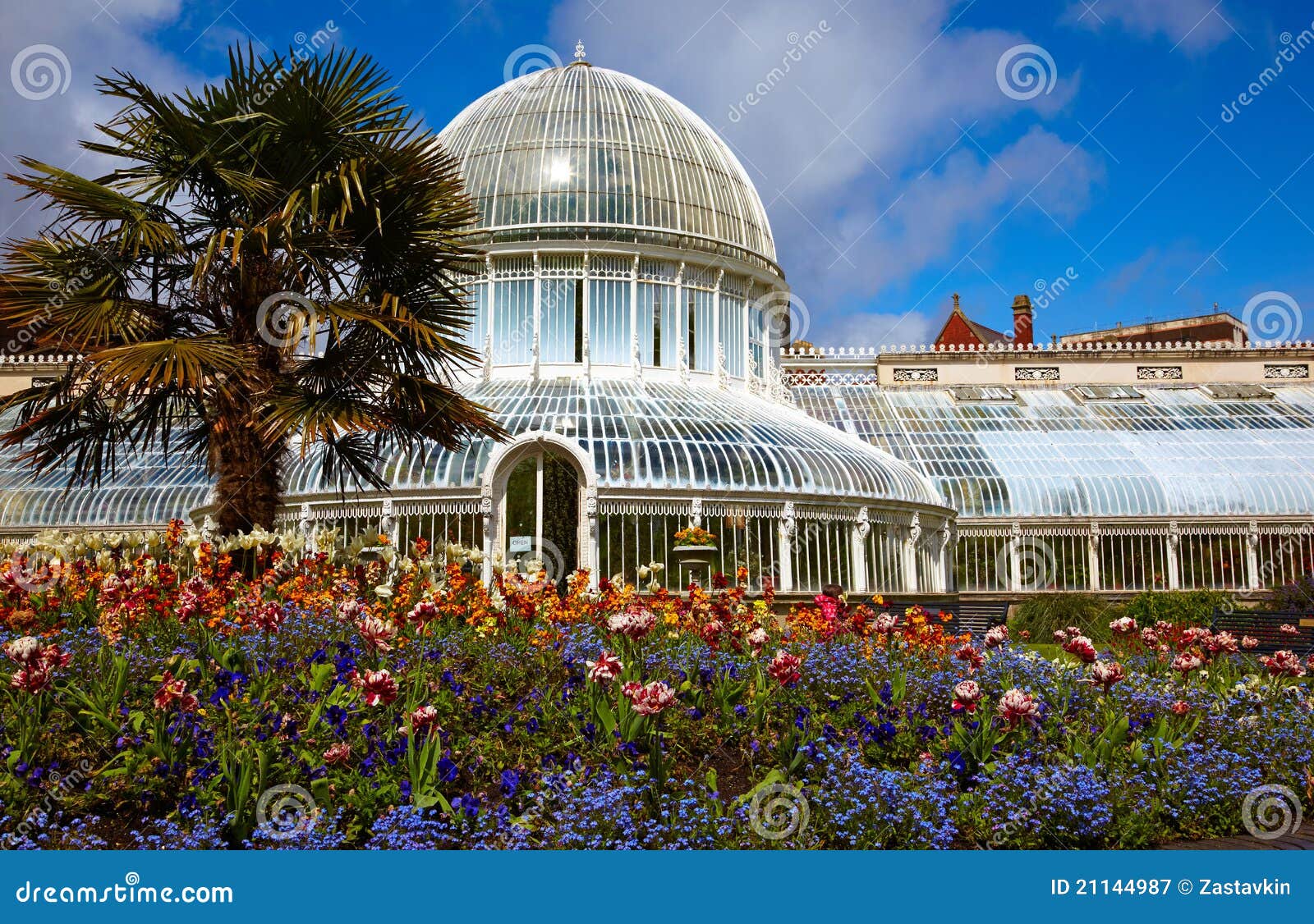 The Palm House at the Botanic Gardens Stock Image - Image of lane ...