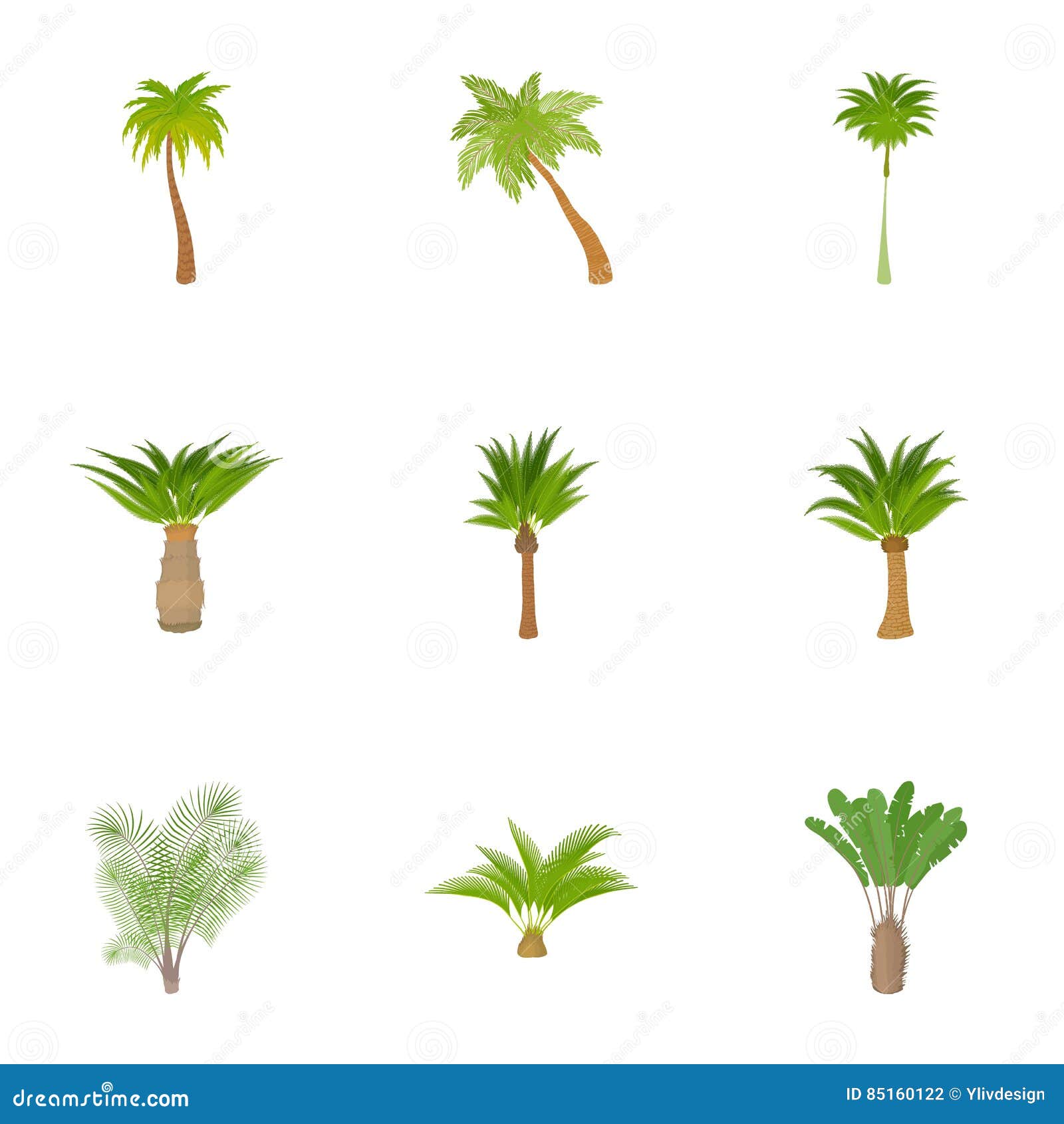 Palm Icons Set, Cartoon Style Stock Vector - Illustration of palma ...