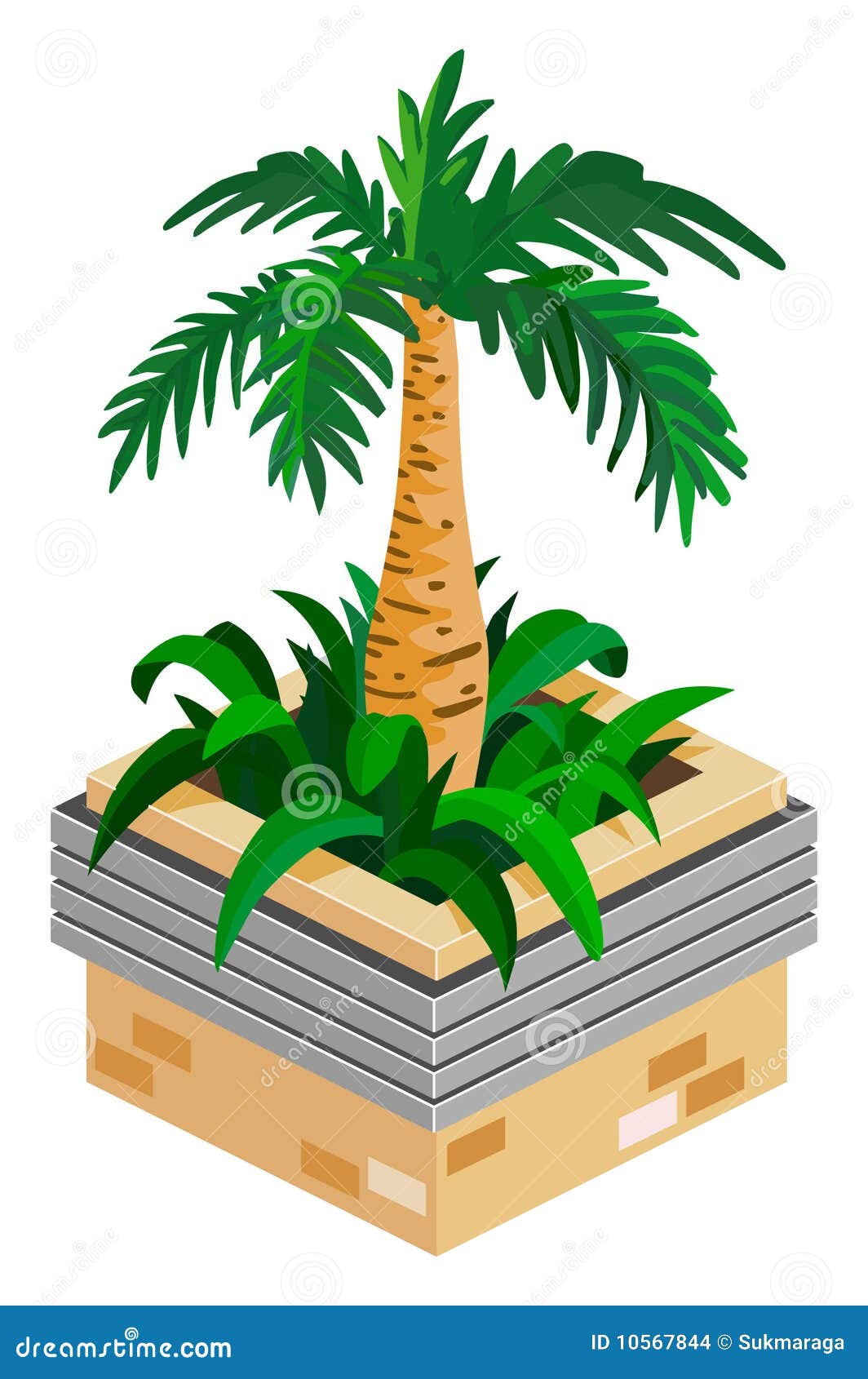 Palm Isometric stock vector. Illustration of palm, tropic - 10567844