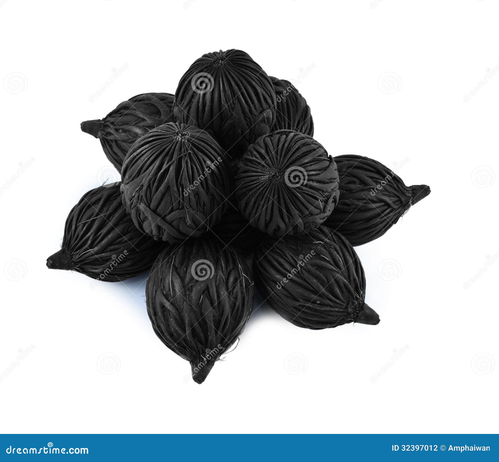 Palm kernel stock photo. Image of textured, harvest, palm - 32397012