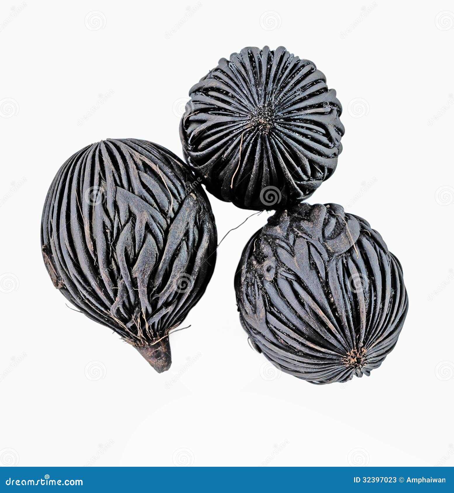 Palm kernel stock image. Image of texture, dirty, environmental - 32397023