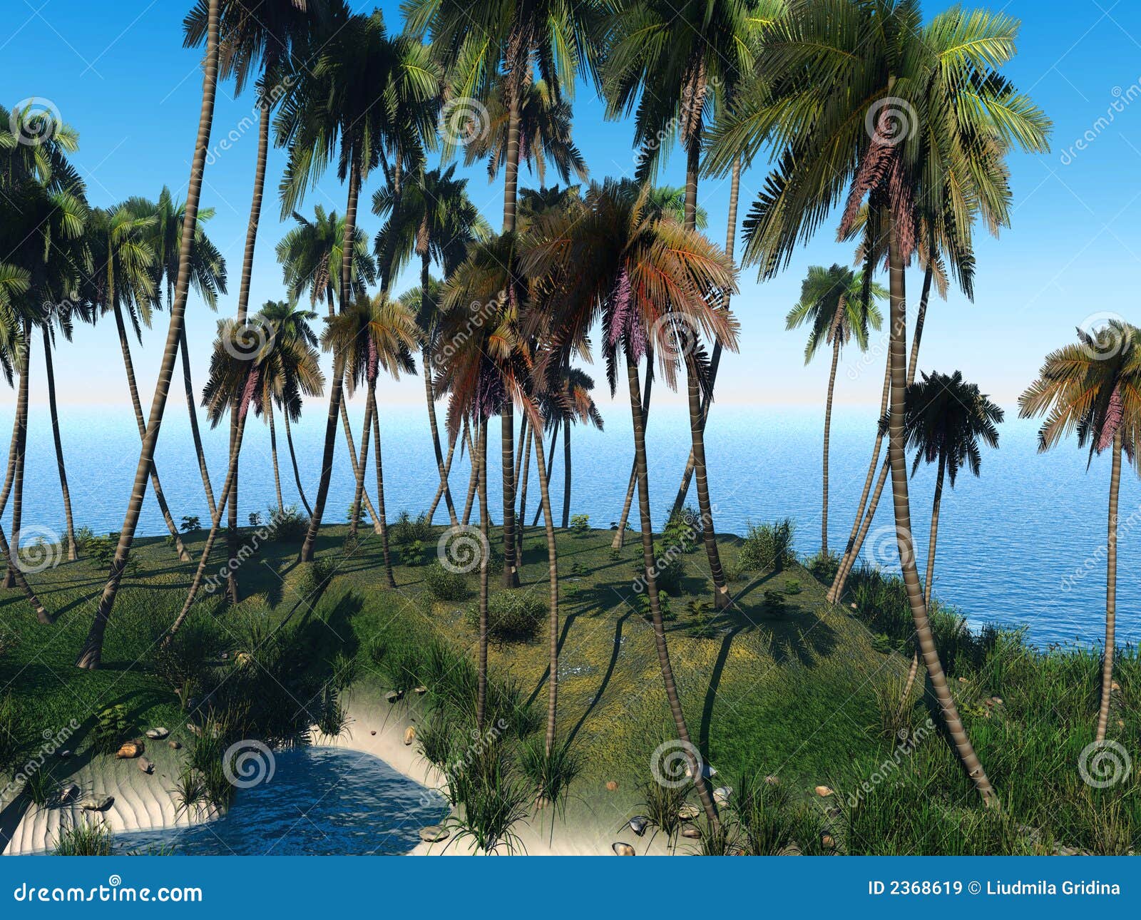 Palm Lagoon Picture. Image: 2368619