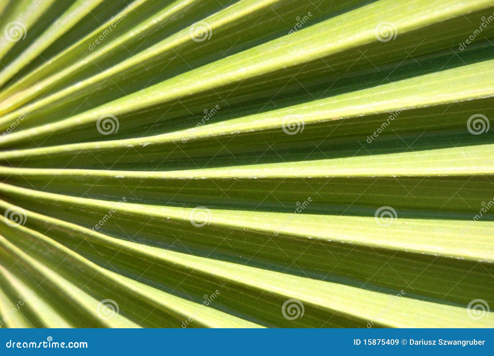 Chloroform Environment Stock Photos - Free & Royalty-Free Stock Photos ...