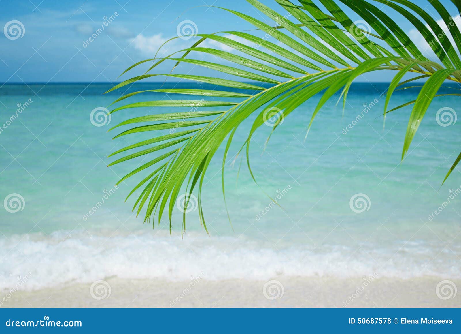 Palm Leaf, Blue Sea and Tropical White Sand Beach Stock Photo - Image ...