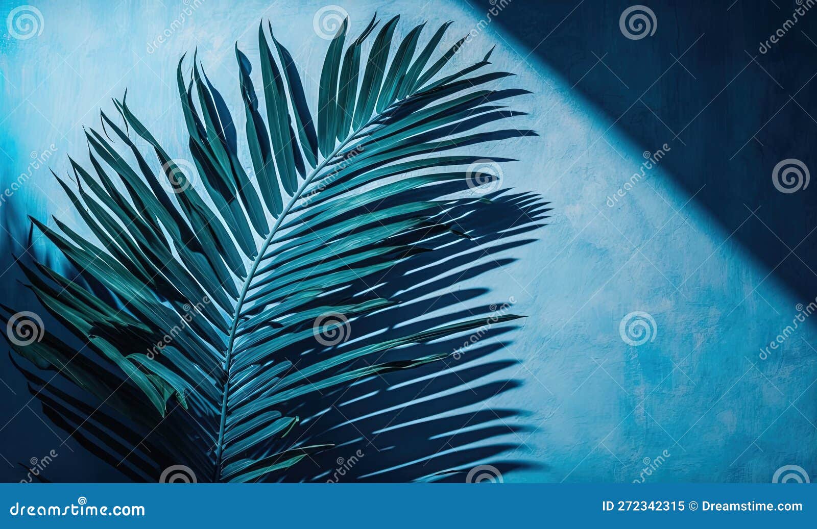 A Palm Leaf Casts a Shadow on a Blue Wall with a Shadow Cast on it ...