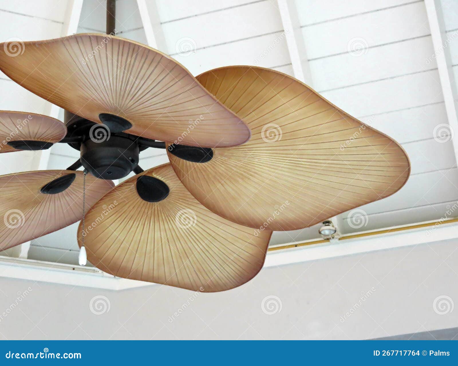 Palm leaf ceiling fan stock photo. Image of leaves, home - 267717764