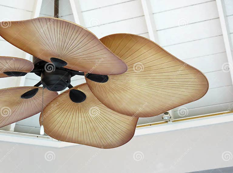 Palm leaf ceiling fan stock photo. Image of leaves, home - 267717764