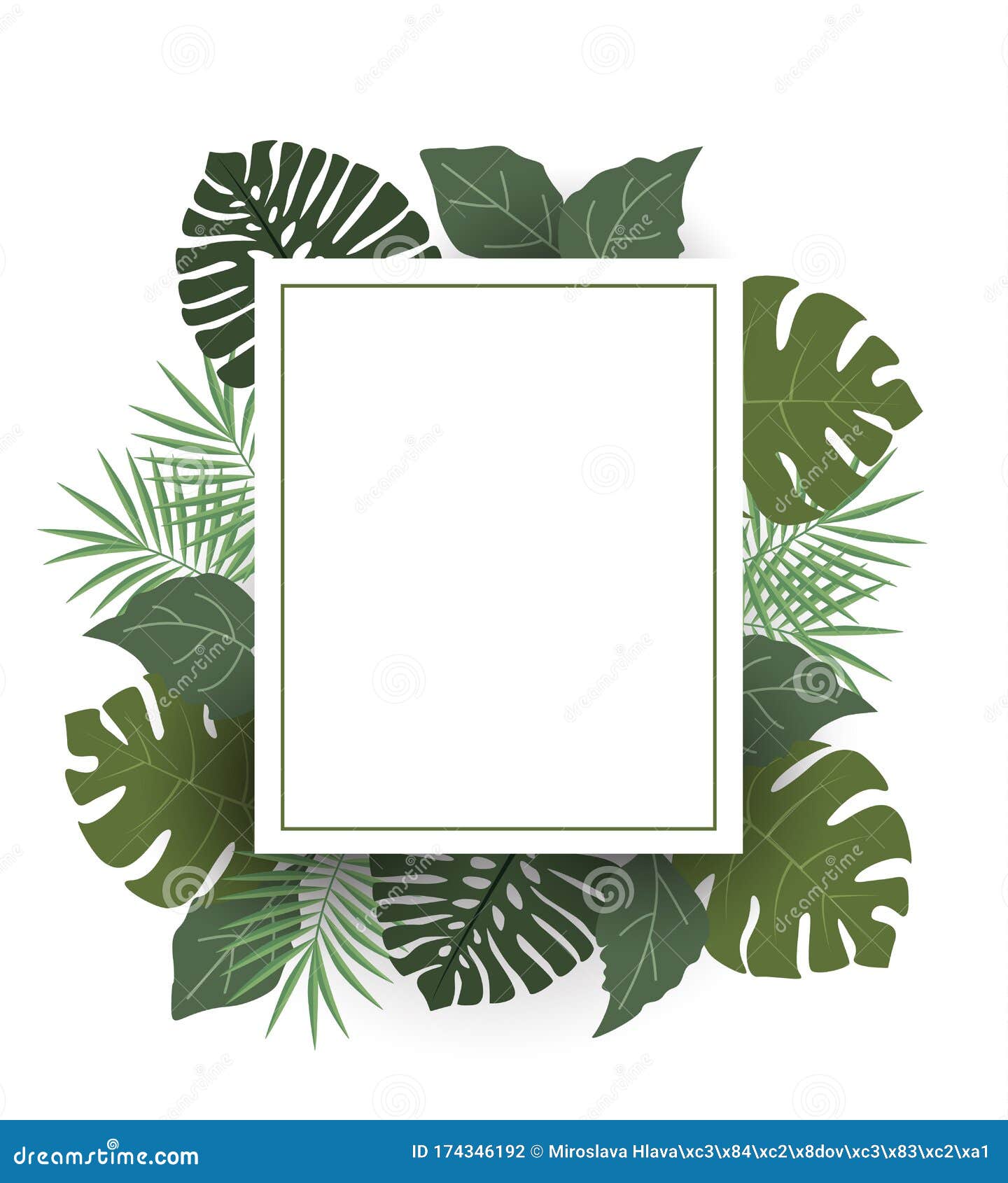 Palm Leaf Decoration Natural Frame Stock Illustration - Illustration of ...