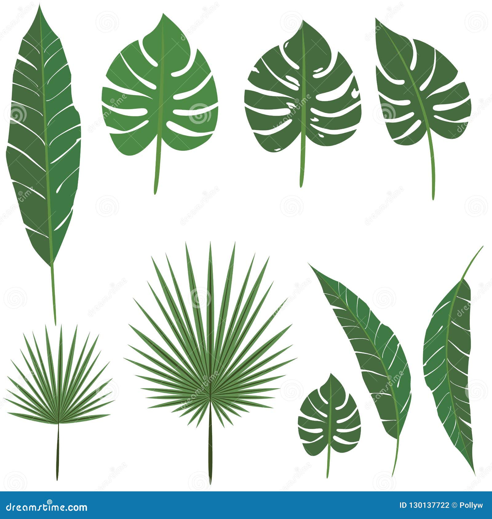 Palm Leafs Diy Set for Decoration Stock Vector - Illustration of branch ...