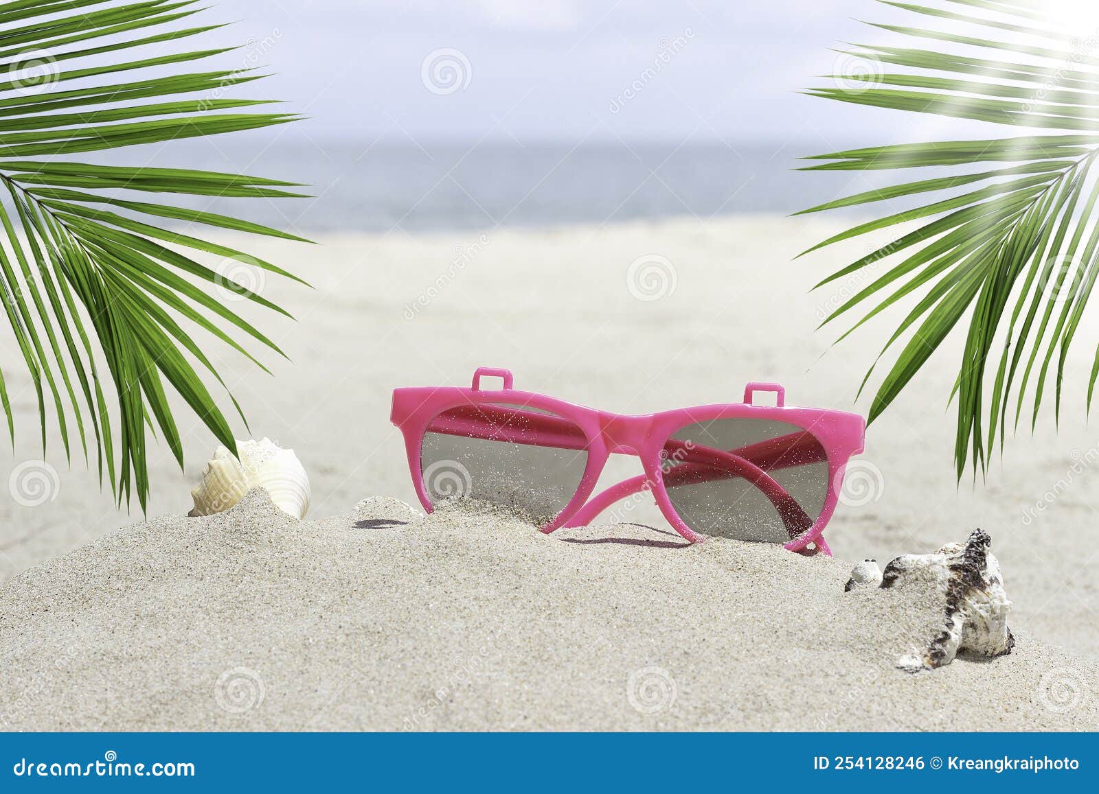 Palm Leaf and Pink Sunglasses and Sea Shells on Beautiful Beach at ...