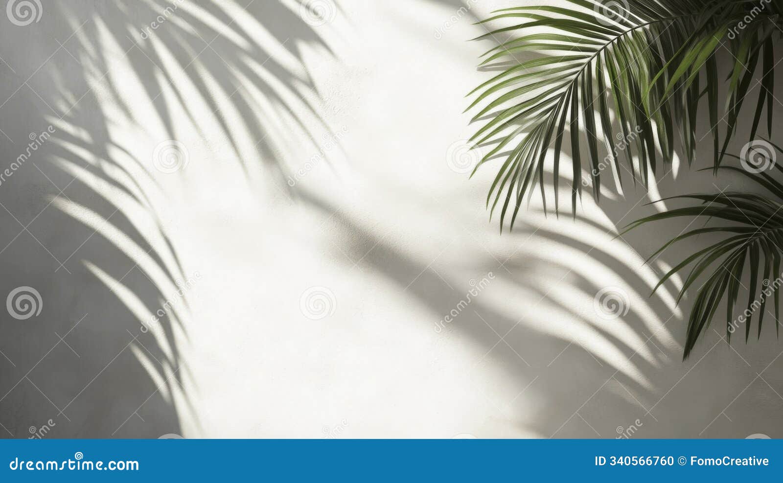 Palm Leaf Shadow and Frond on a White Wall Stock Illustration ...