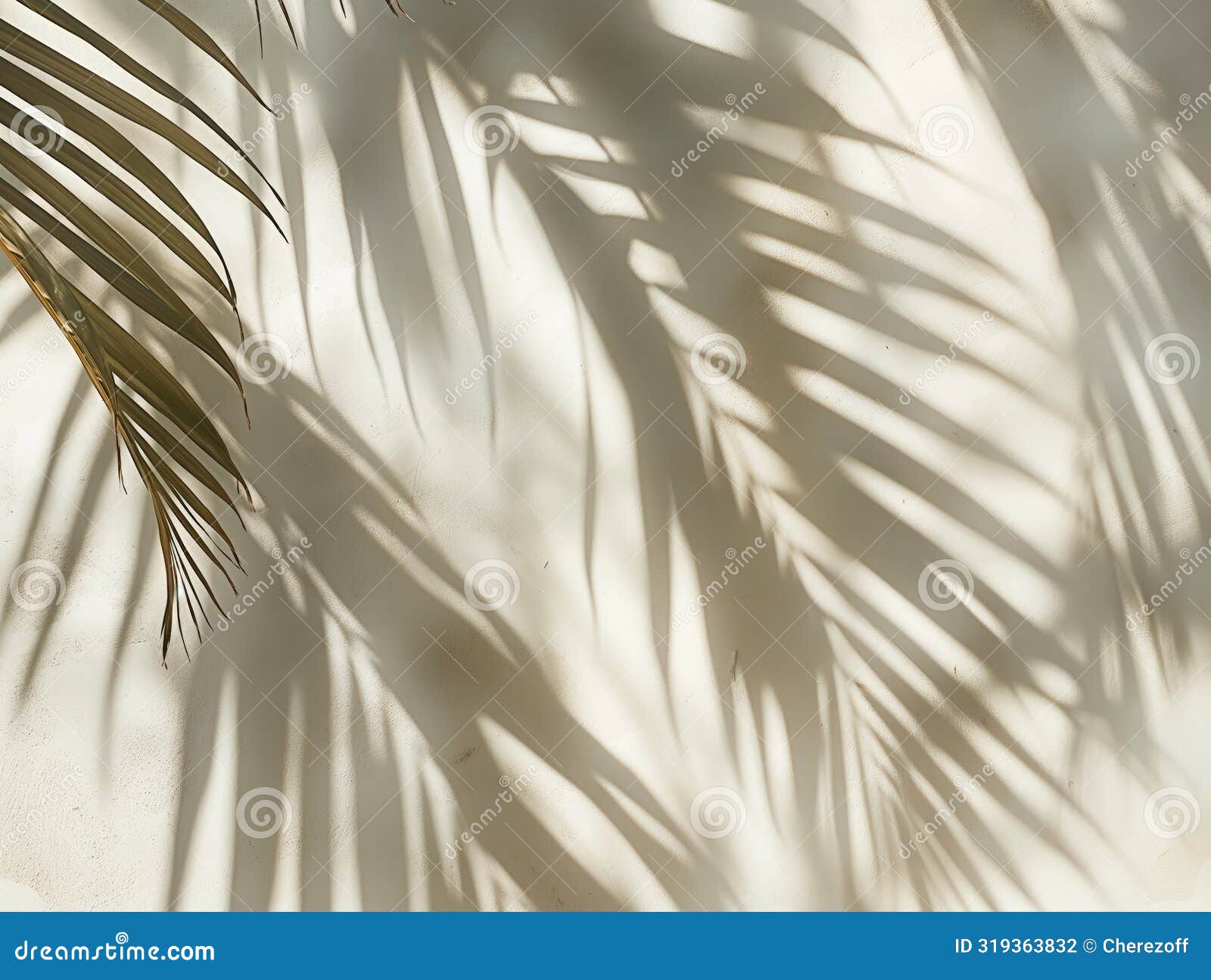 Palm Leaf Shadows on White Wall Stock Photo - Image of exotic, artistic ...