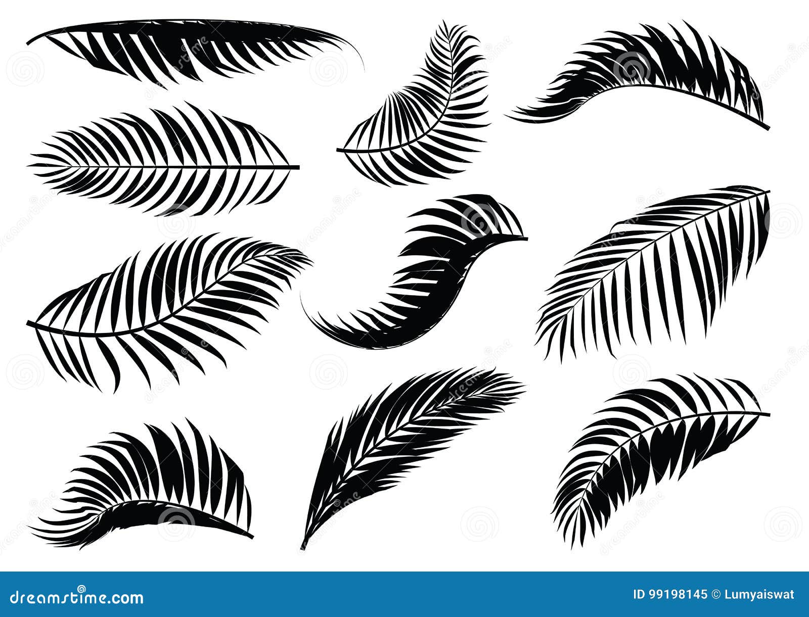 Palm Leaf silhouette. stock vector. Illustration of floral - 99198145 Palm Leaf silhouette. stock vector. Illustration of floral - 99198145