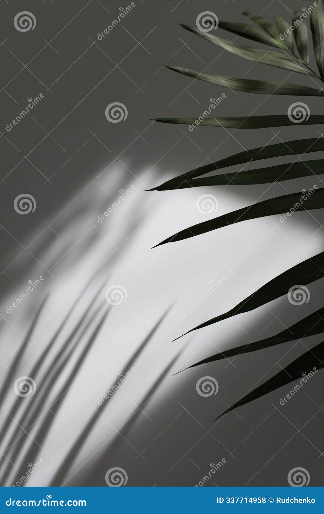 Palm Leaf and Soft Focus Gray Grain Texture Black and White Refraction ...