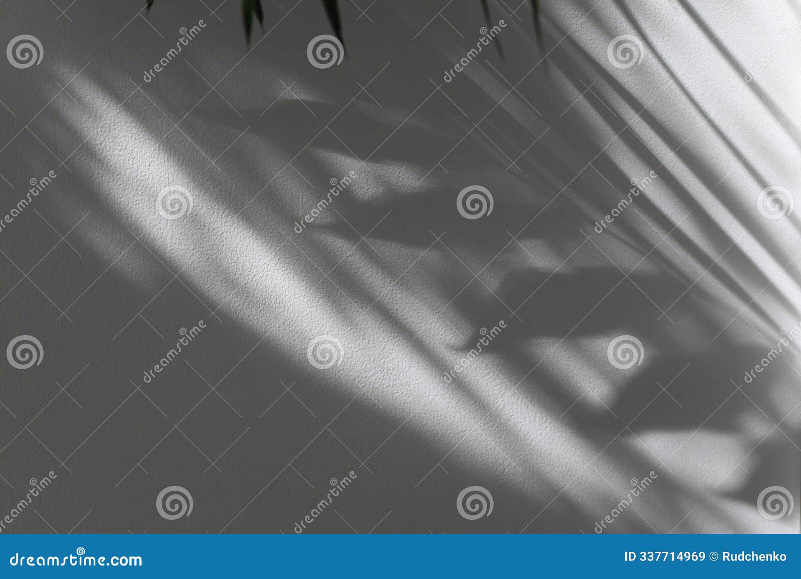 Palm Leaf and Soft Focus Gray Grain Texture Black and White Refraction ...