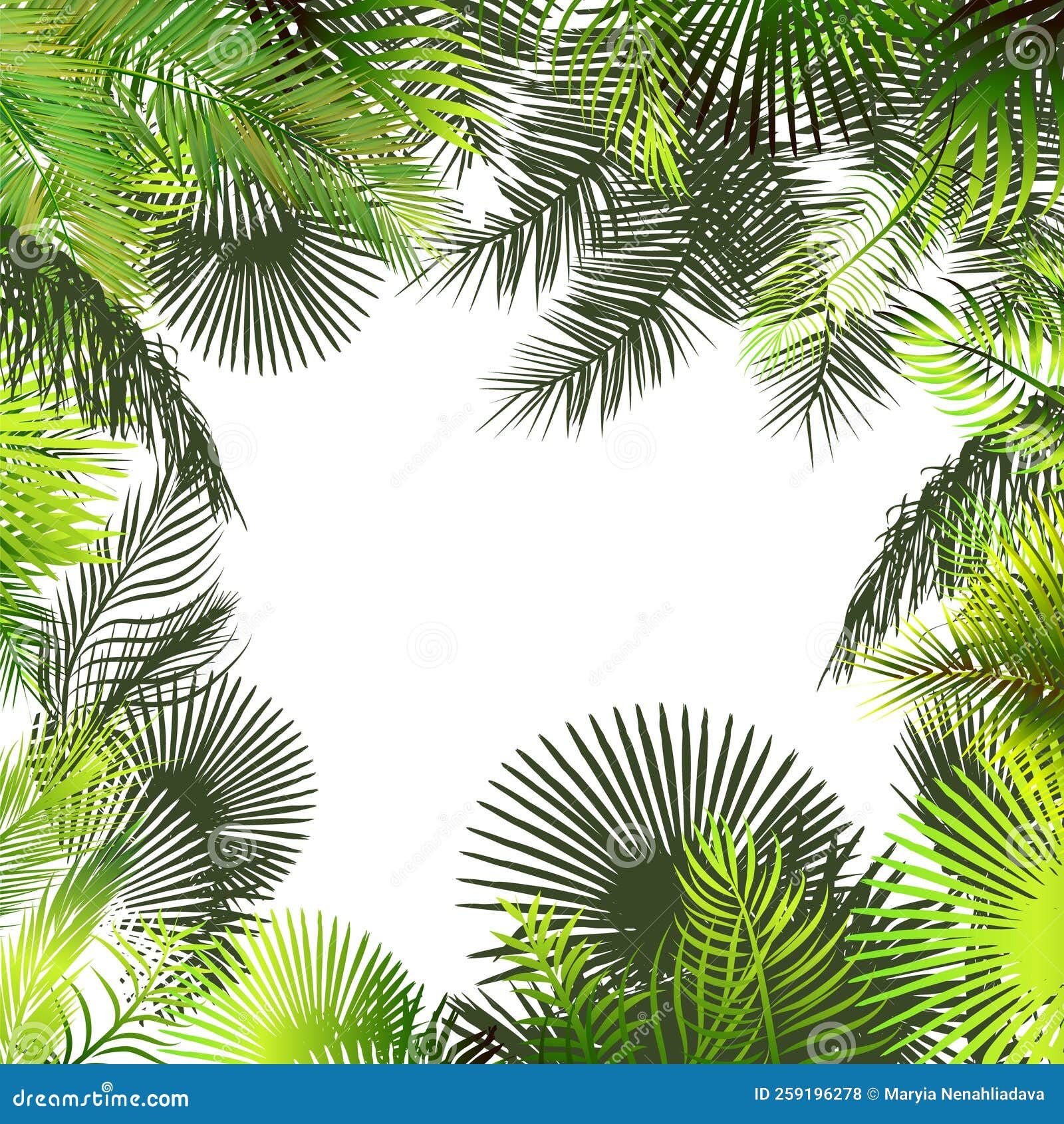 Frame with Palm Leaves. Vector Illustration Stock Vector - Illustration ...