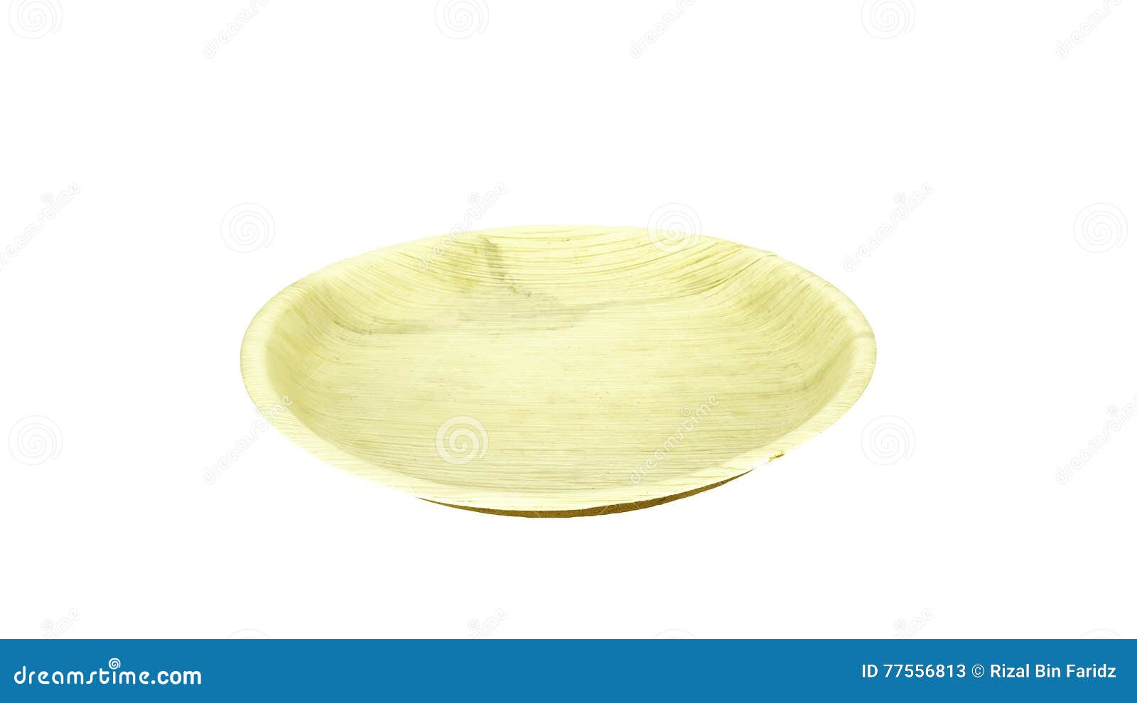 Palm Leave Plate stock image. Image of decorative, detail - 77556813