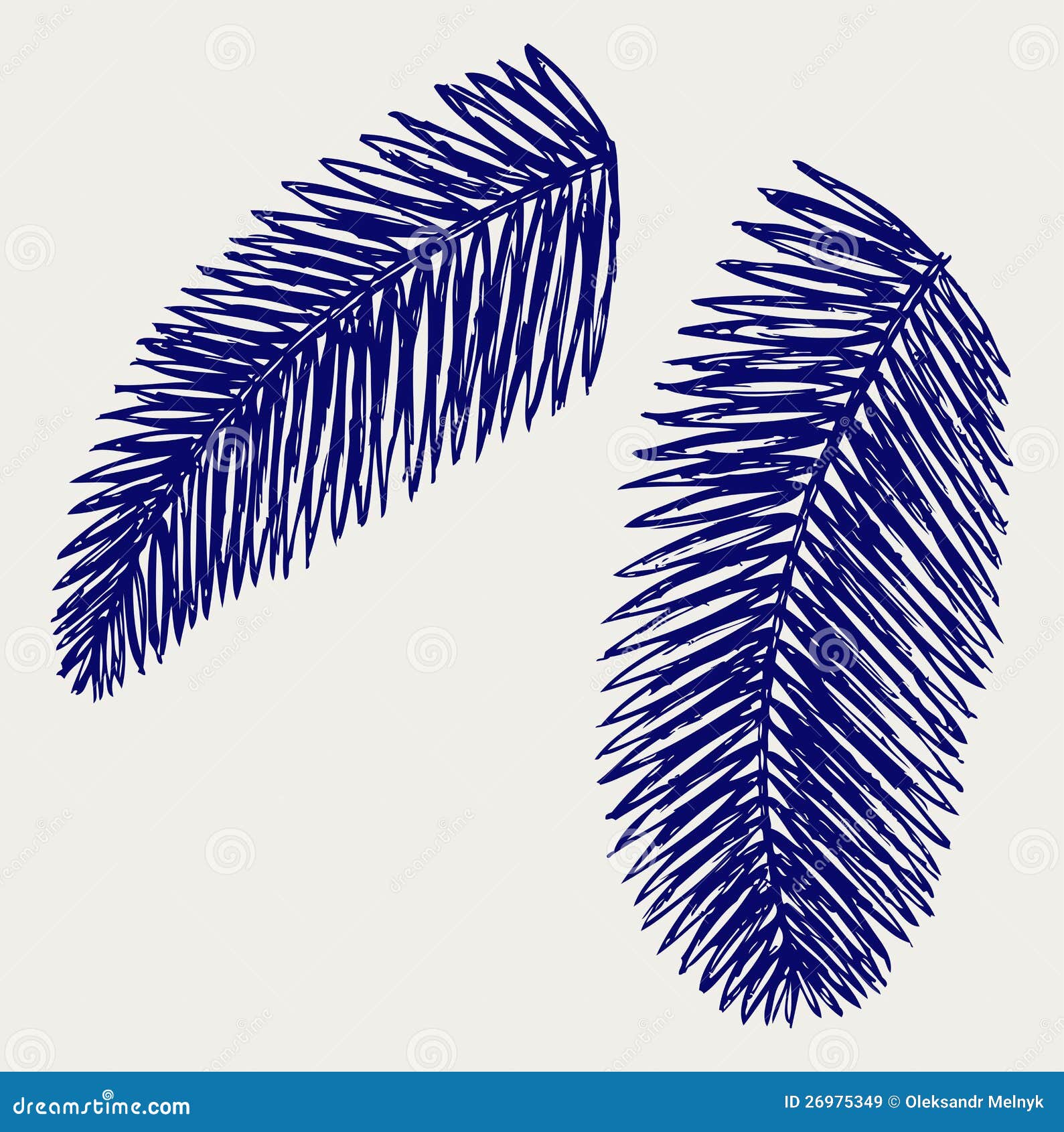 Palm leaves stock vector. Illustration of cycad, draw - 26975349