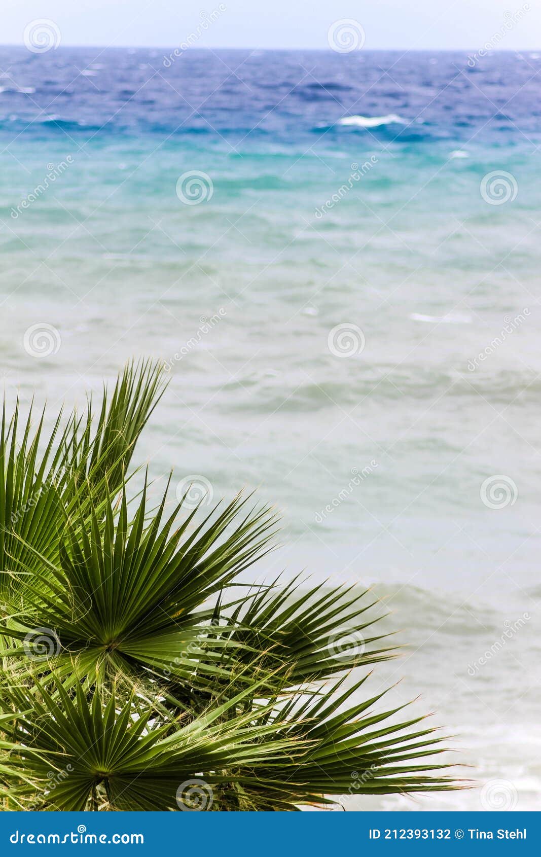 Palm Leaves on Beach Ocean Background Stock Photo - Image of lagoon ...