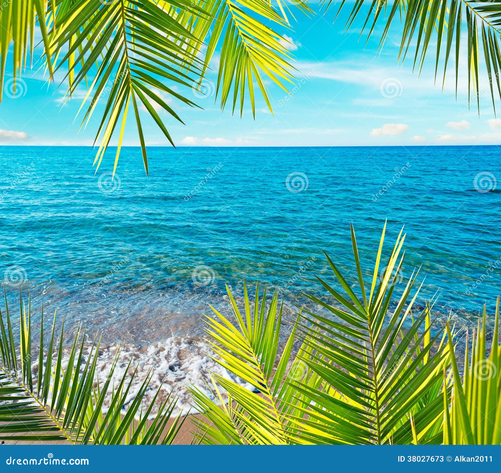 Palm leaves and sea stock image. Image of ocean, natural - 38027673
