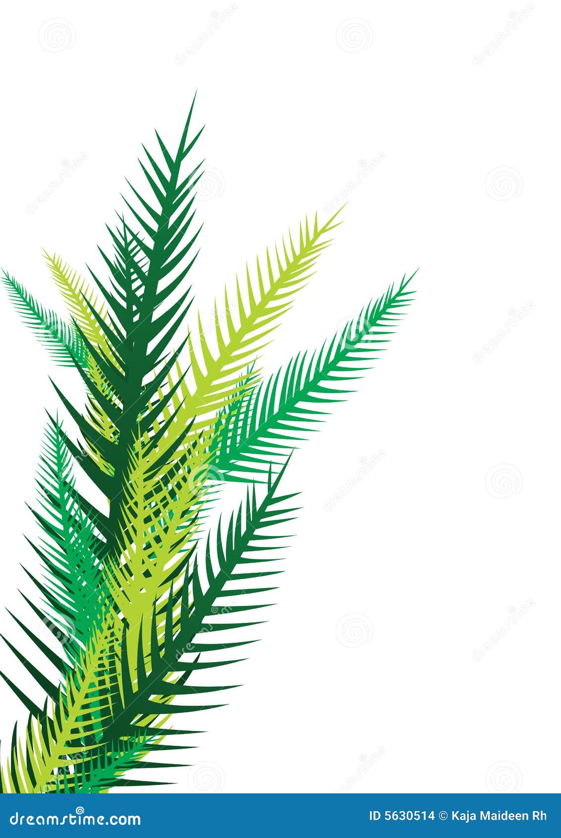 Palm leaves - vector stock vector. Illustration of leaf - 5630514