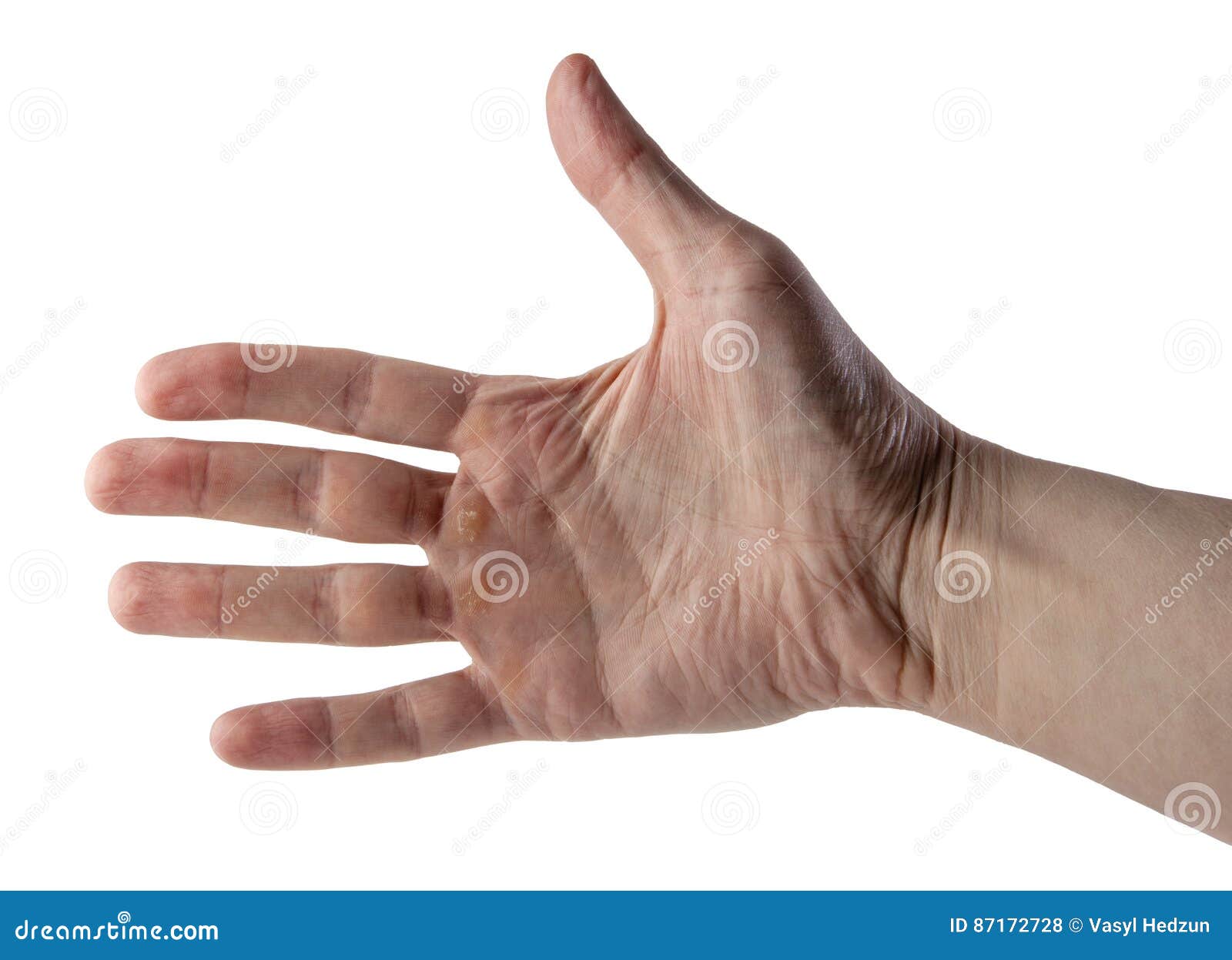 Palm. Man Hand with Clipping Path. Stock Photo - Image of male ...