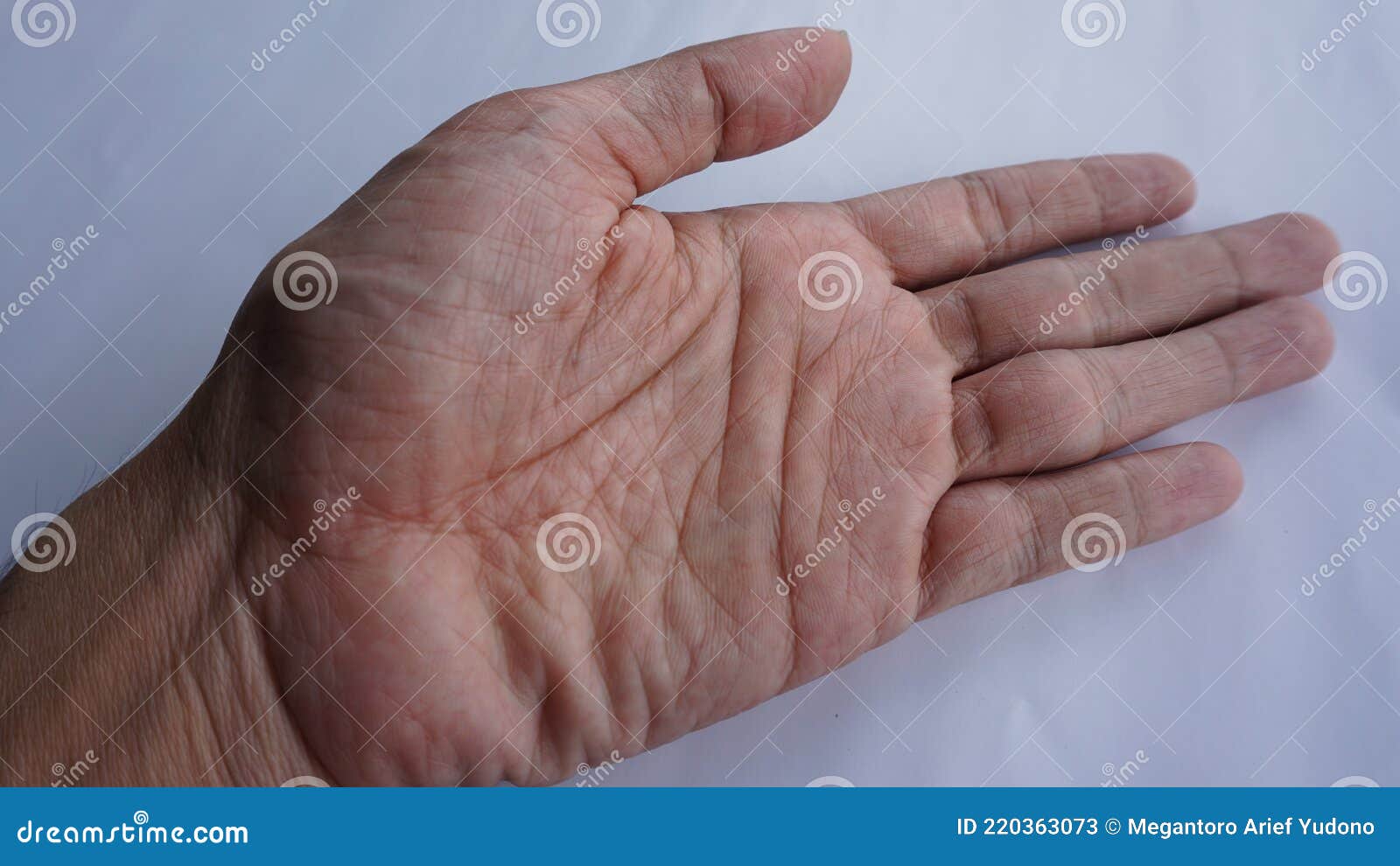 Palm Man Hand with Wrinkles Skin Stock Image - Image of quail, palm ...
