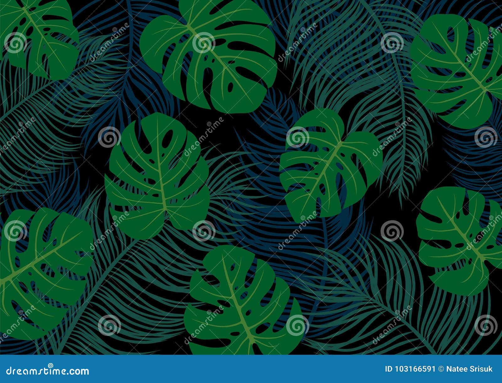 Monstera Deliciosa, Also Known As The Swiss Cheese Plant, Hand Draw ...