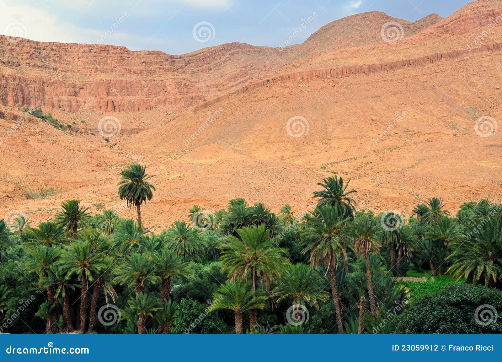 Palm oasis in Morocco stock photo. Image of kingdom, atlas - 23059912