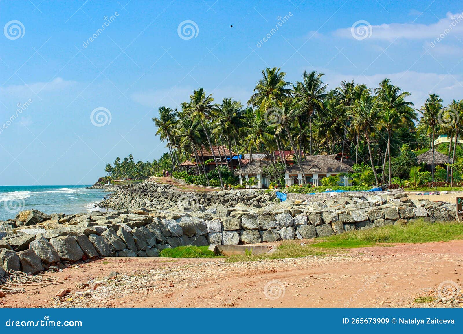 Palm Oasis in Varkala, Kerala. India Stock Image - Image of coast ...