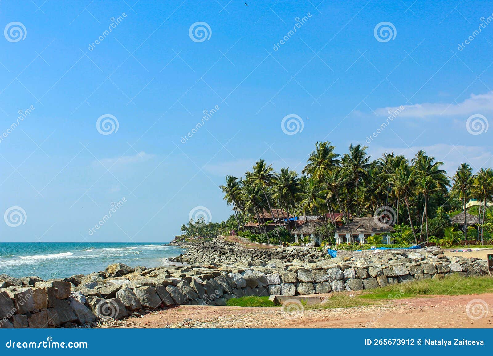 Palm Oasis in Varkala, Kerala. India Stock Photo - Image of oasis ...