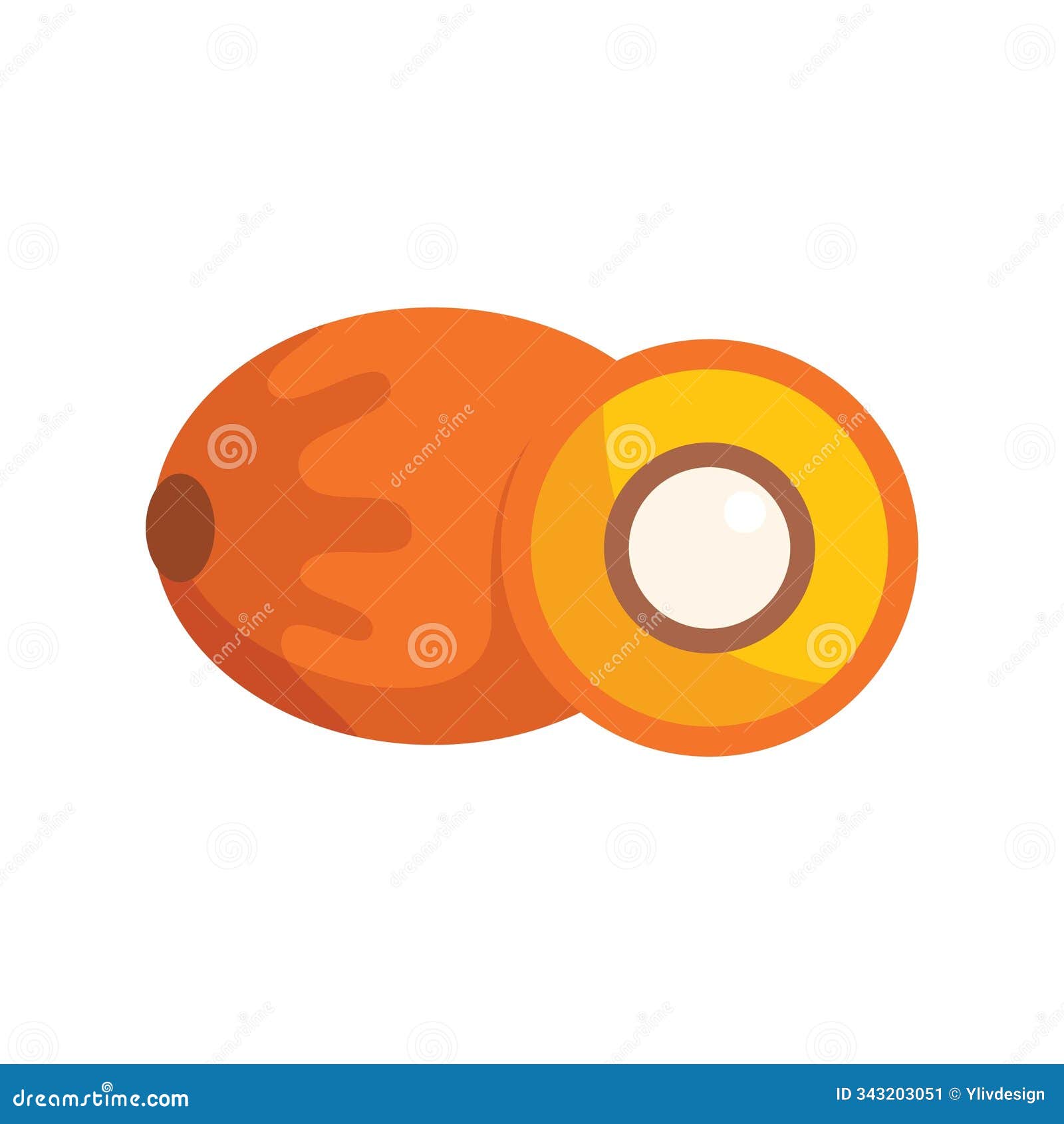 Palm Seed Vector Illustration Isolated On White Background ...