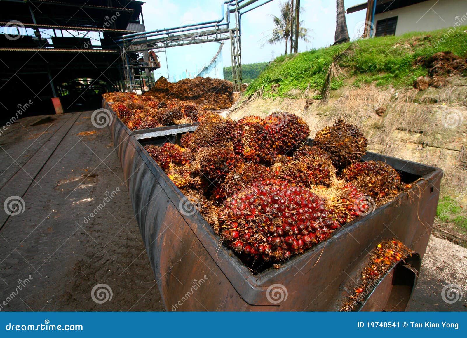 Palm Oil Processing stock image. Image of rusty, industrial - 19740541