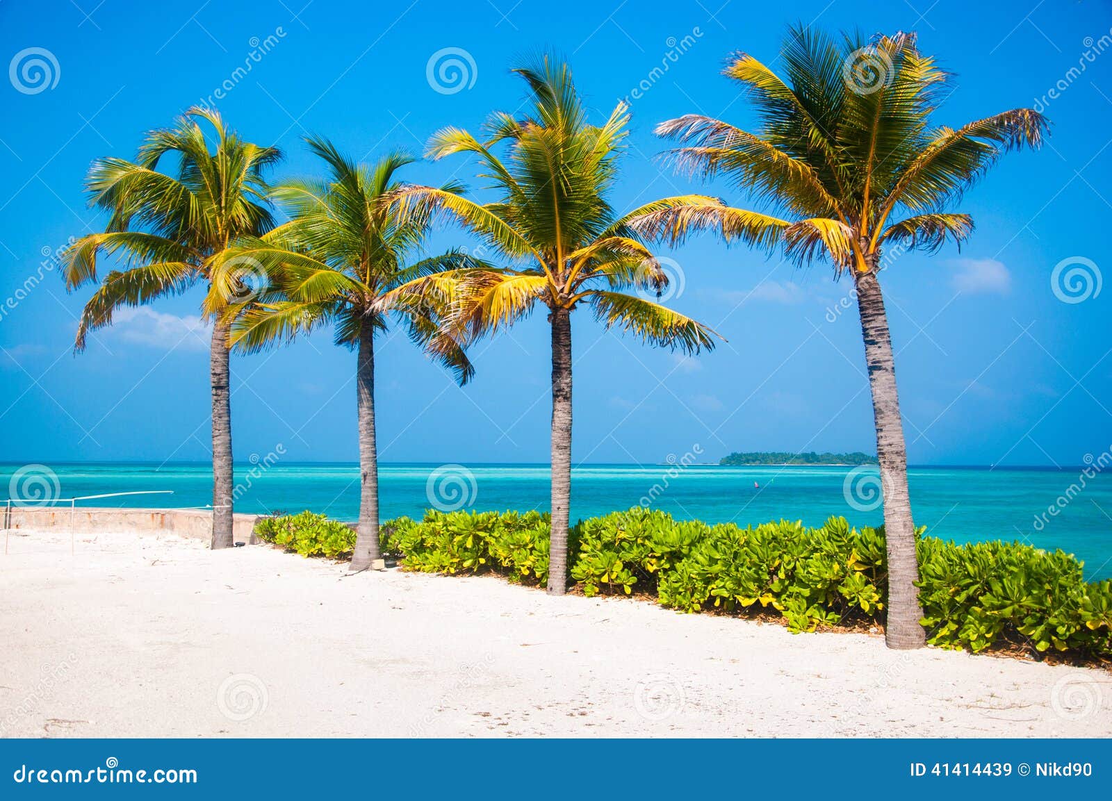 Palm op tropisch strand stock afbeelding. Image of zonnig - 41414439