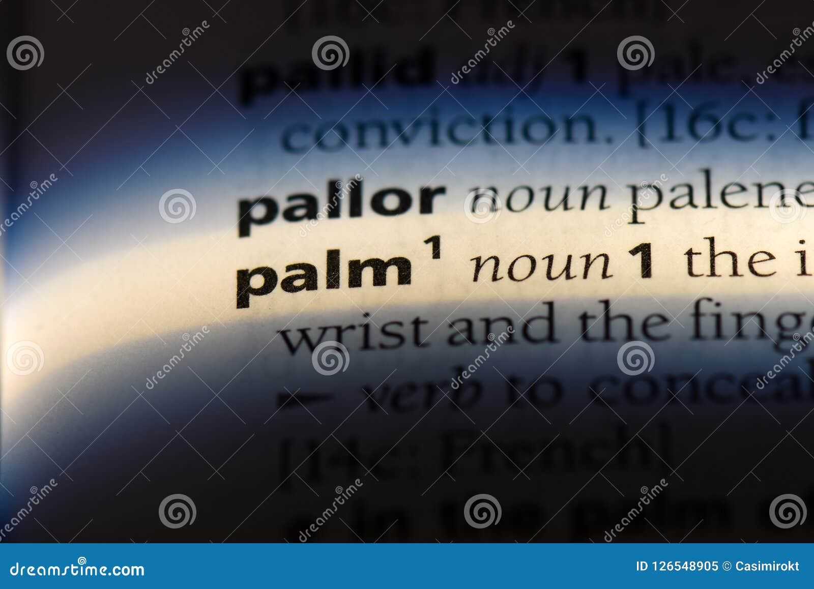 Palm stock image. Image of palm, paper, concept, writing - 126548905